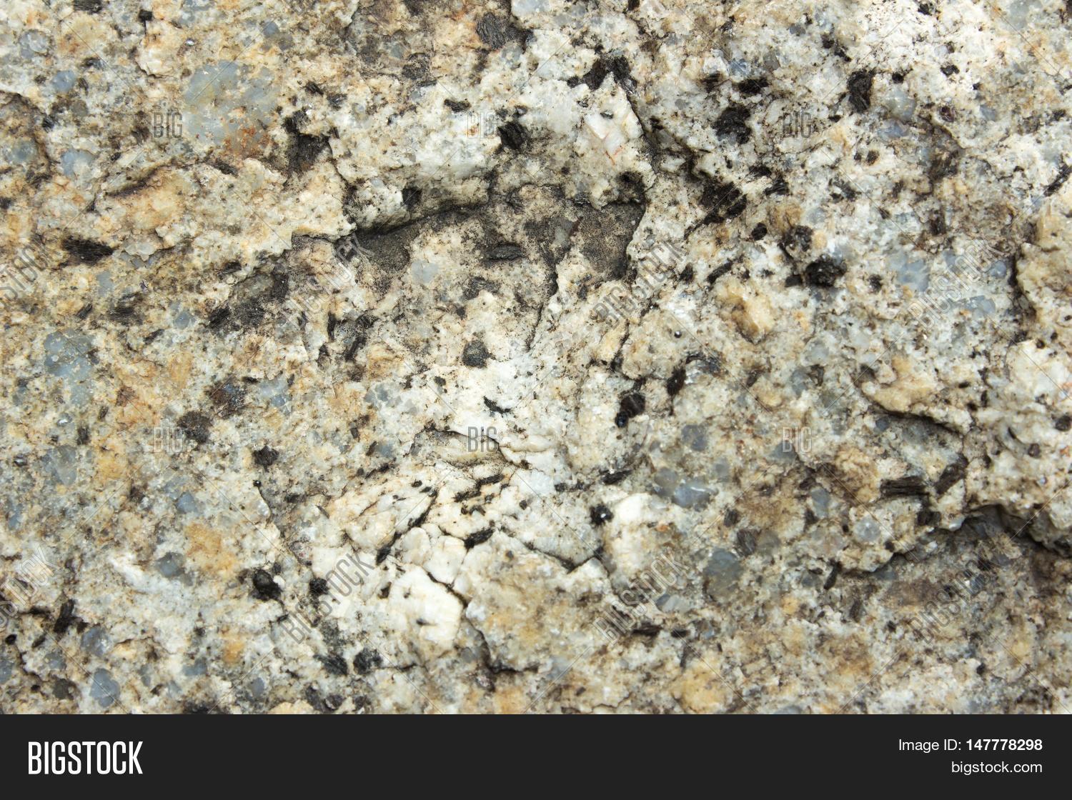 Rock Texture Image & Photo (Free Trial) | Bigstock