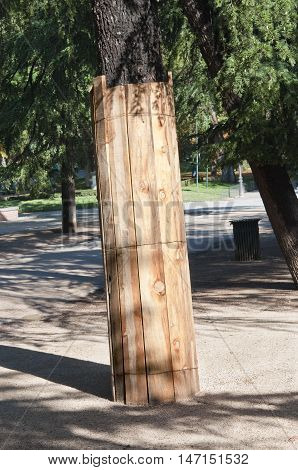 Tree Trunk Protection Image & Photo (Free Trial) | Bigstock