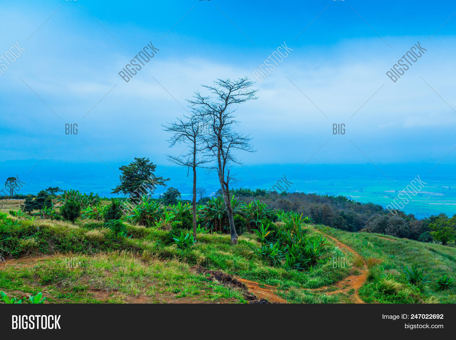 Panorama Doi Pha Mee Image & Photo (Free Trial) | Bigstock