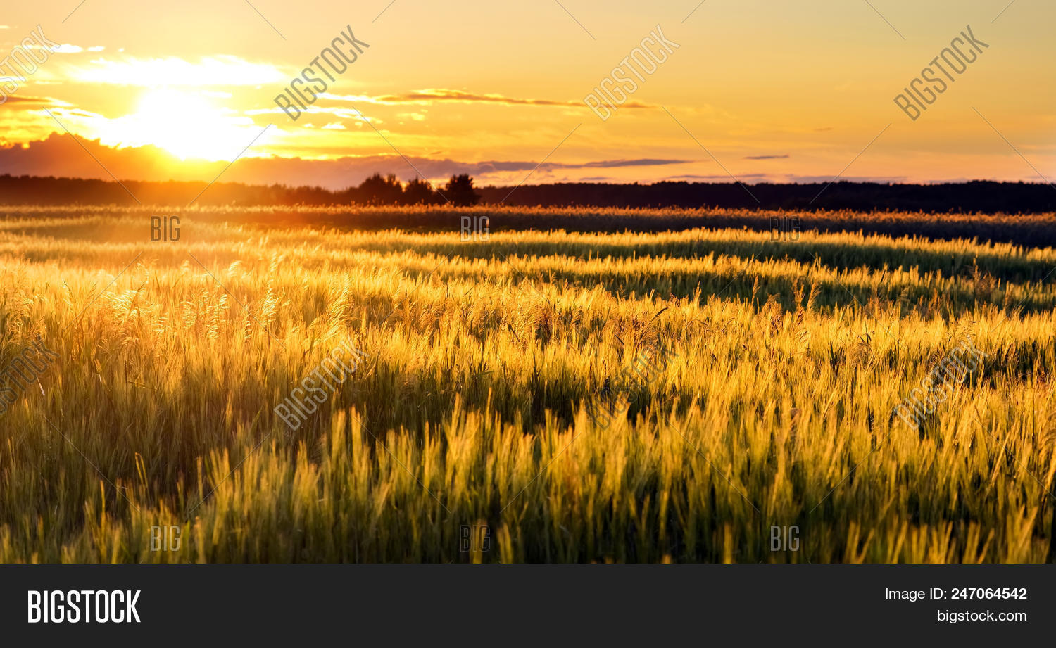 Colorful Rural Image & Photo (Free Trial) | Bigstock