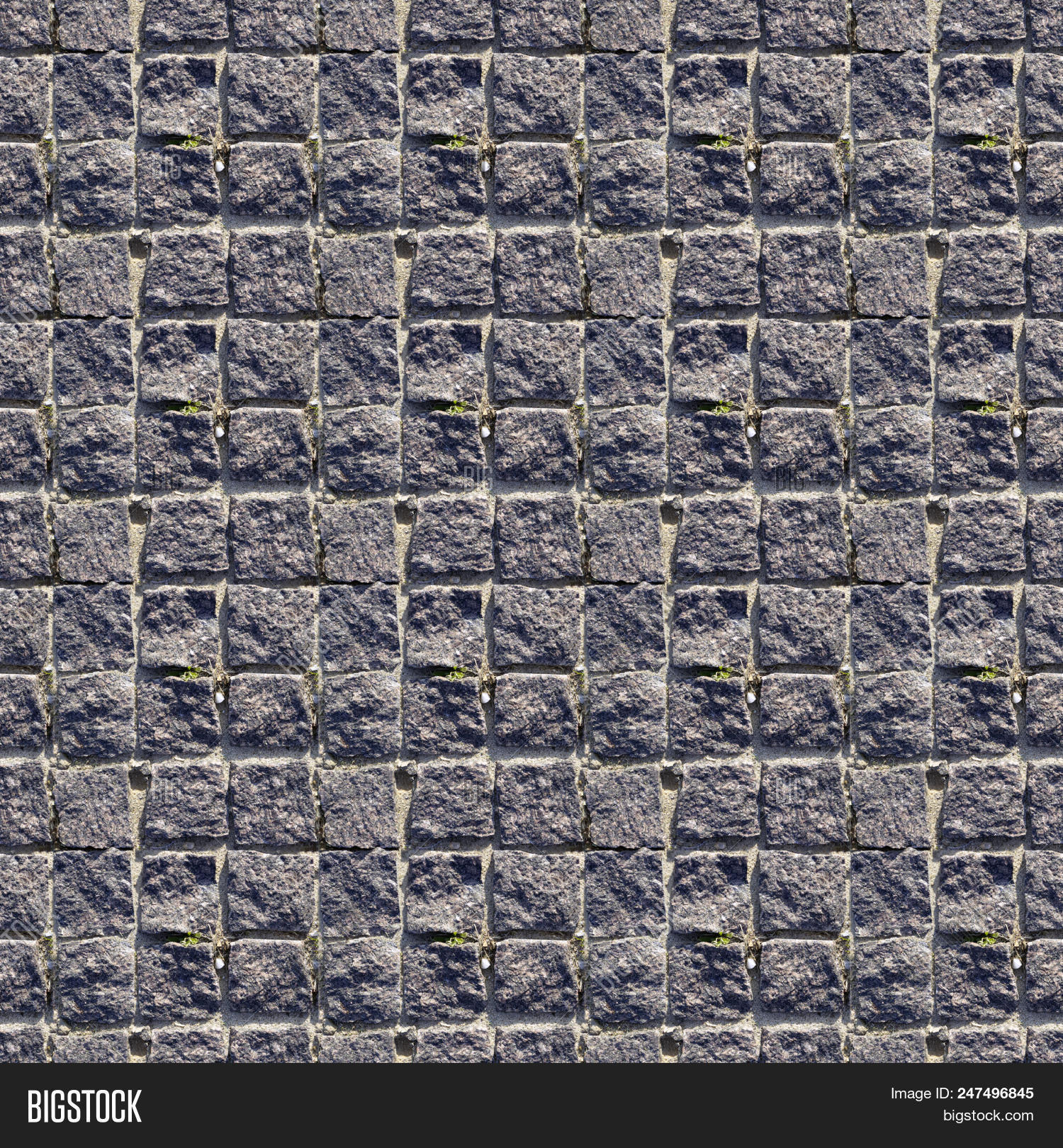 Seamless Photo Texture Image & Photo (Free Trial) | Bigstock