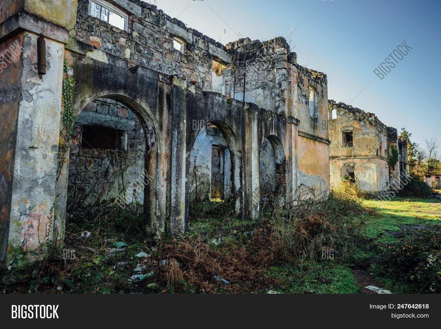 Overgrown Ruins Image & Photo (Free Trial) | Bigstock