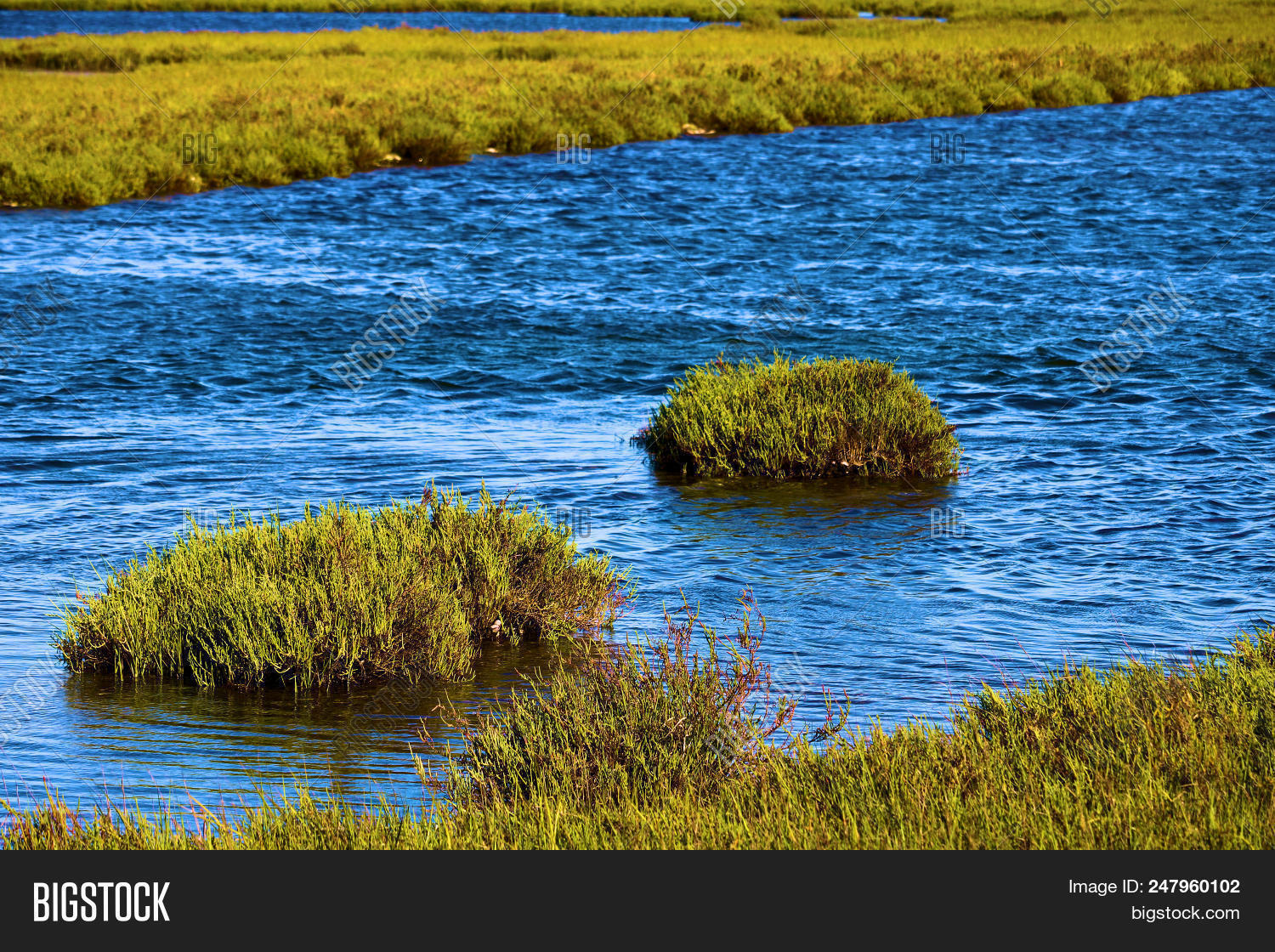 Grasslands Besides Image & Photo (Free Trial) | Bigstock