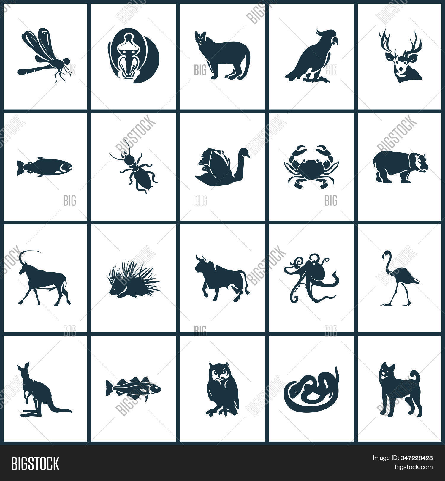 Fauna Icons Set Cod Image & Photo (Free Trial) | Bigstock