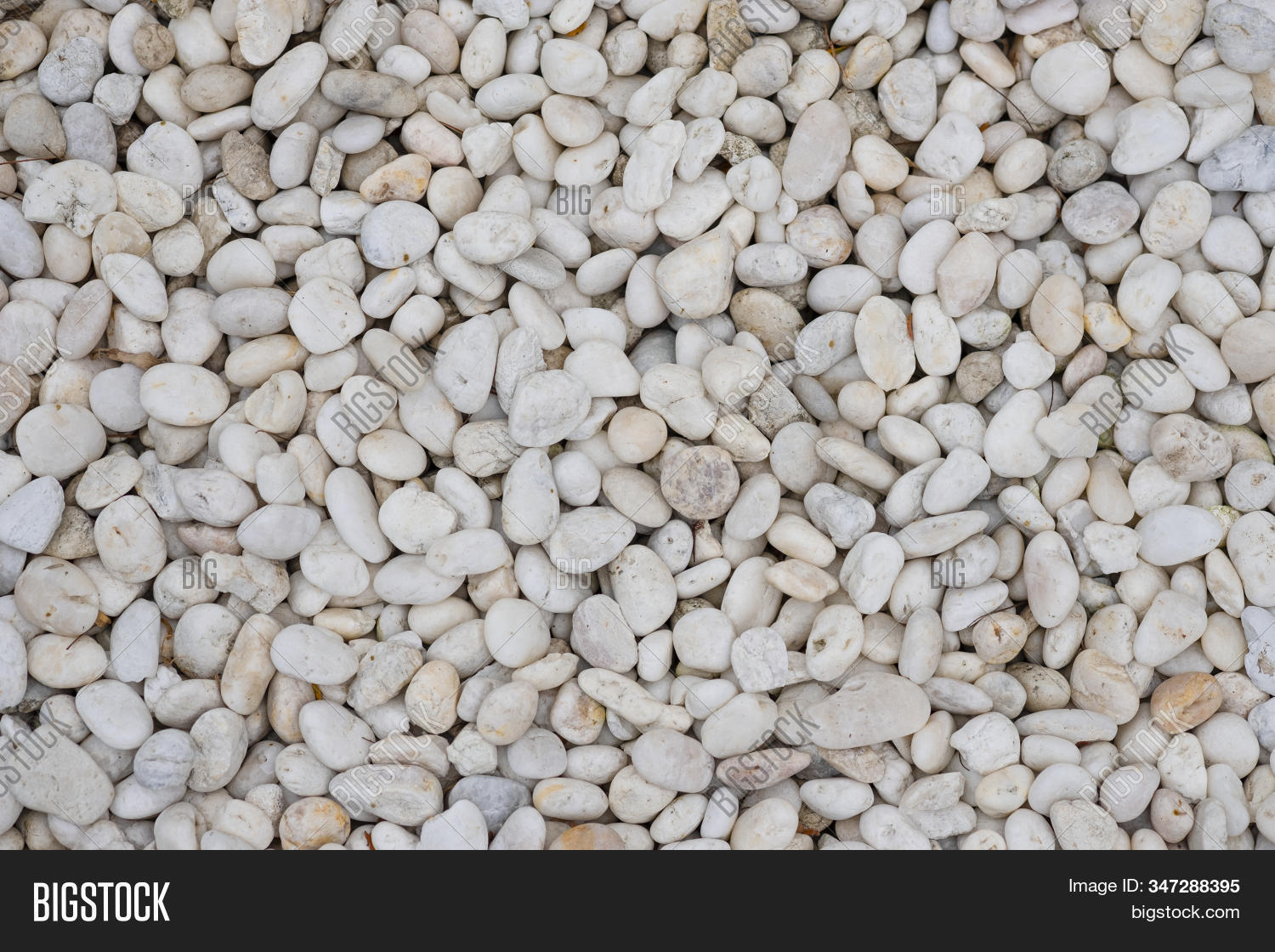 Beautiful Smooth White Image & Photo (Free Trial) | Bigstock