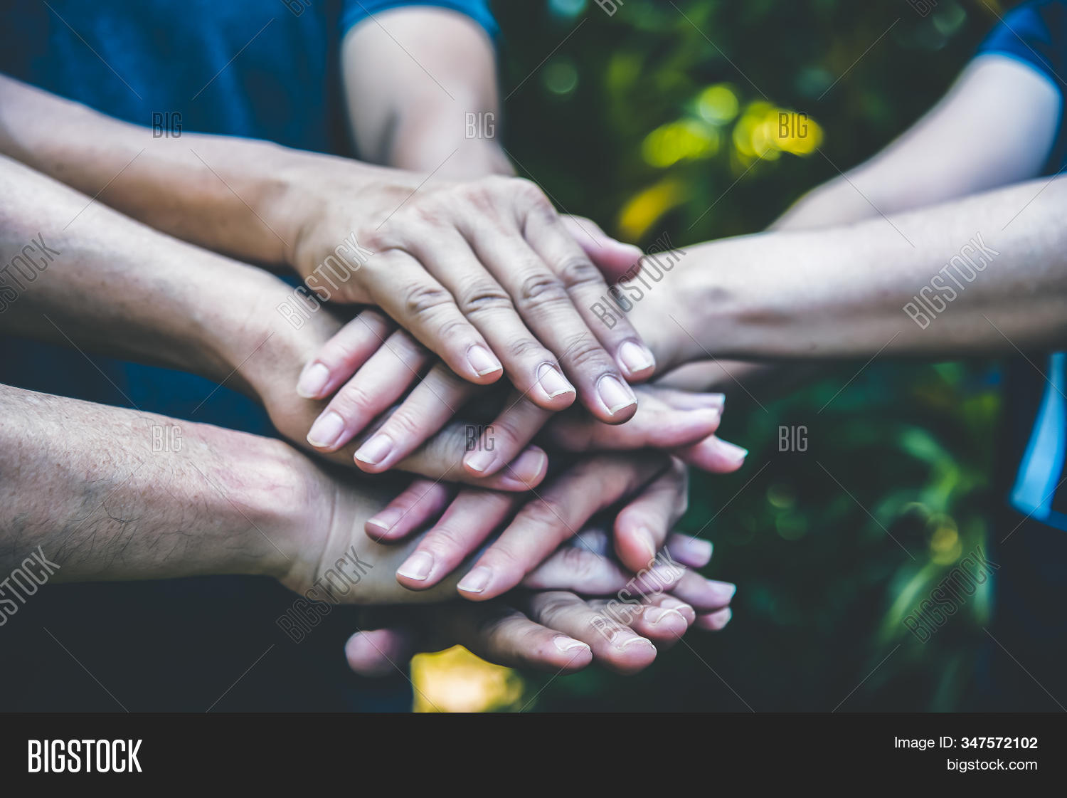 People Hands Assemble Image & Photo (Free Trial) | Bigstock