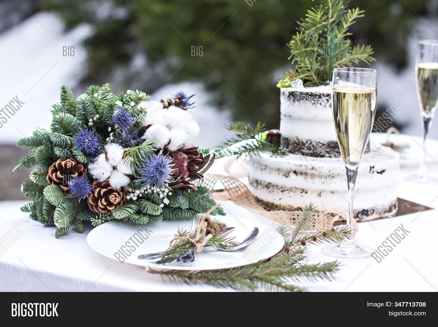 Rustic Winter Wedding Image & Photo (Free Trial) | Bigstock