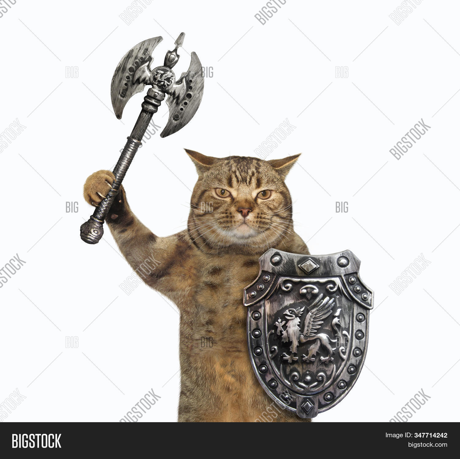 Beige Cat Viking Armed Image & Photo (Free Trial) | Bigstock