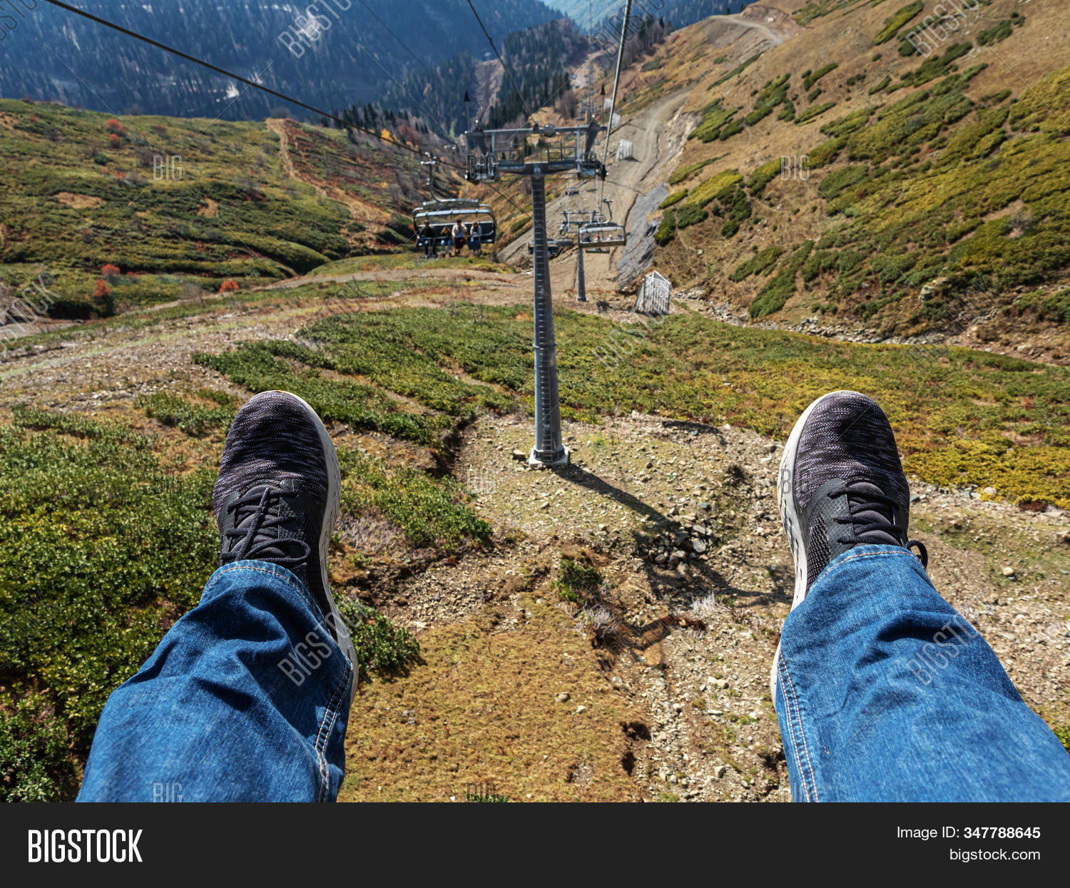 Between Two Legs View Image & Photo (Free Trial) | Bigstock