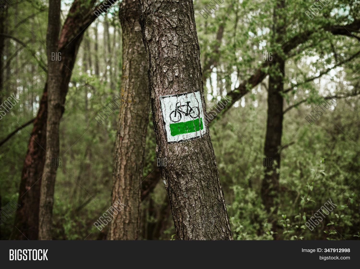 Bike Trail Sign On Image & Photo (Free Trial) | Bigstock