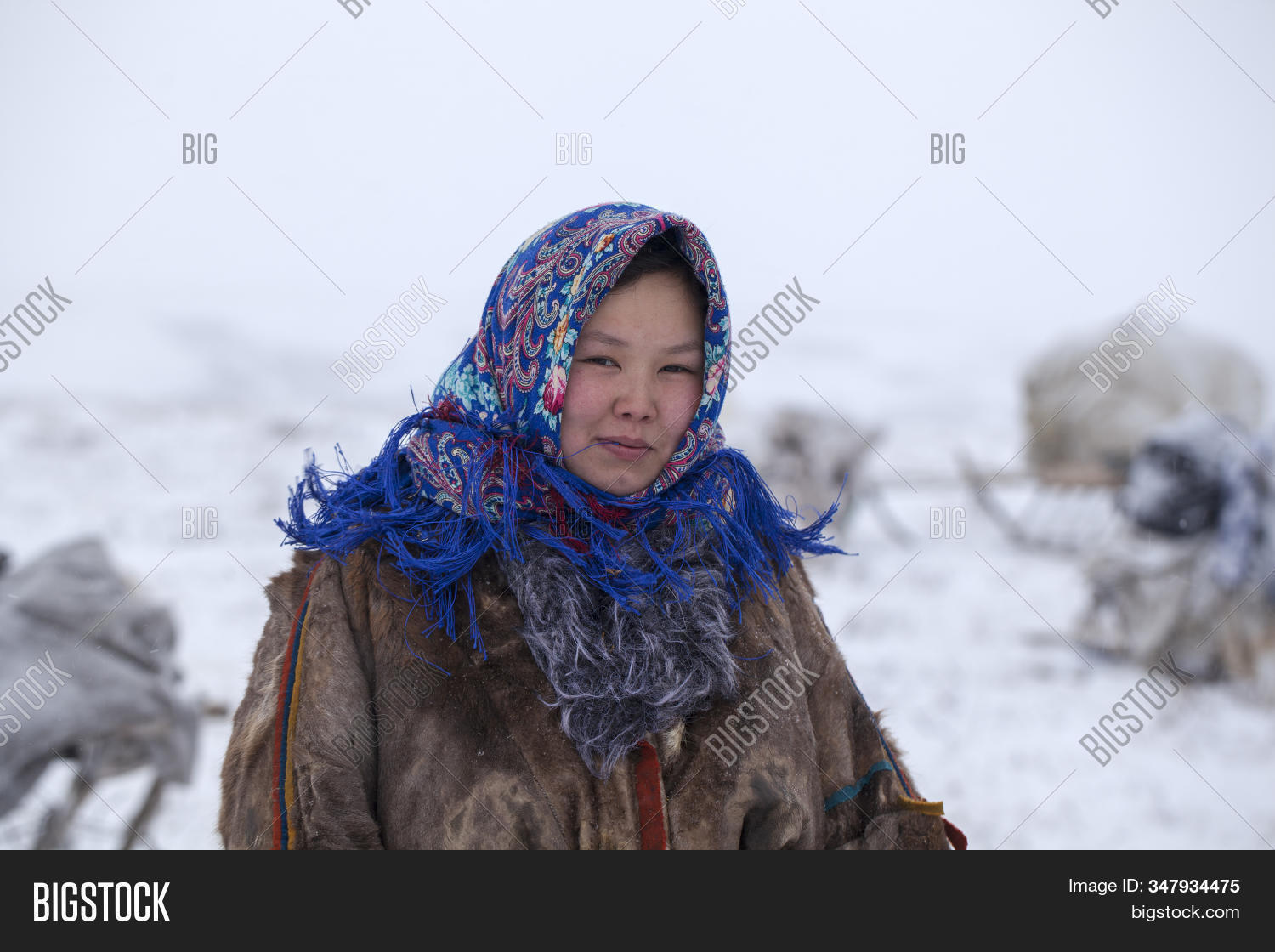 Far North, Tundra, Image & Photo (Free Trial) | Bigstock