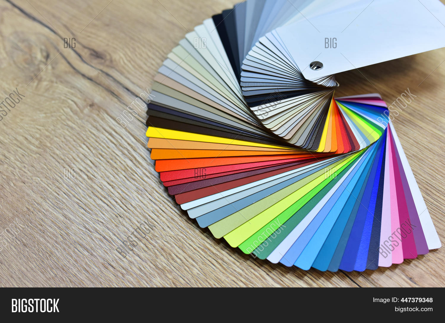 Color Palette Swatches Image & Photo (Free Trial) | Bigstock