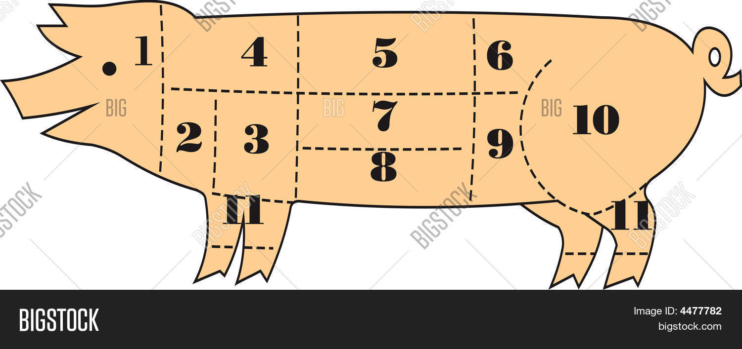 Pig Cut Out Vector & Photo (Free Trial) | Bigstock