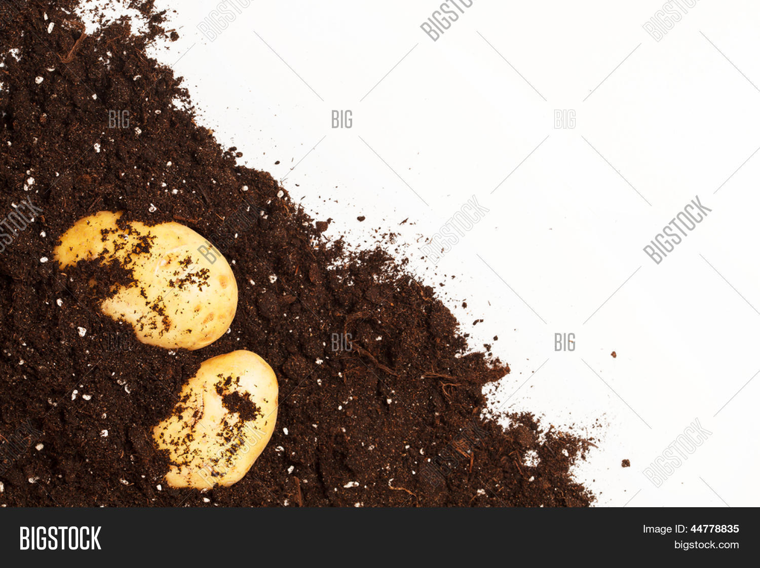 How Potatoes Grow Without Soil
