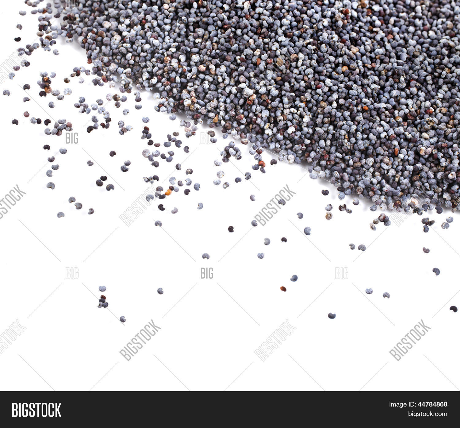 Corner Border Poppy Image & Photo (Free Trial) | Bigstock