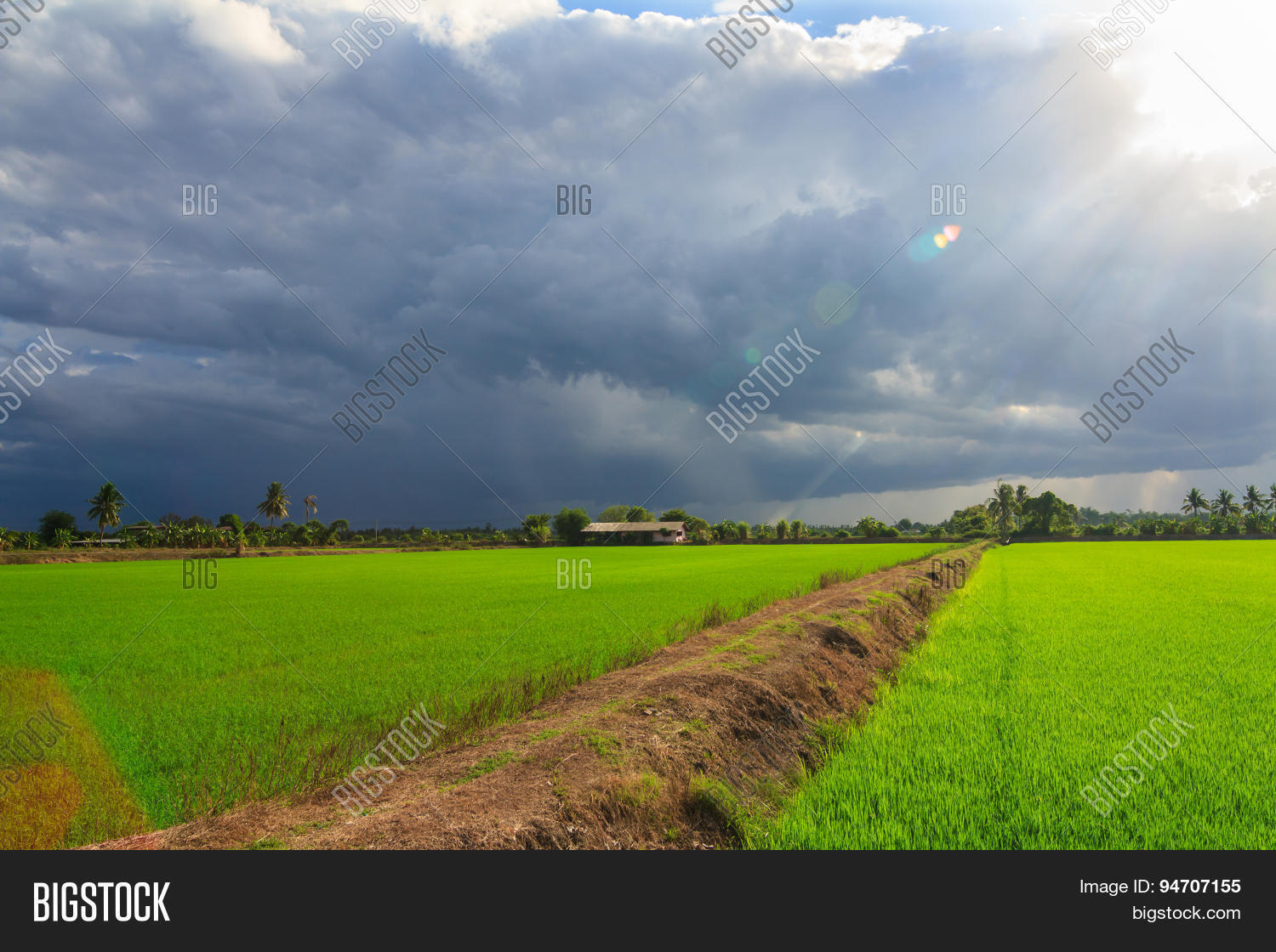 Landscape Green Field Image & Photo (Free Trial) | Bigstock