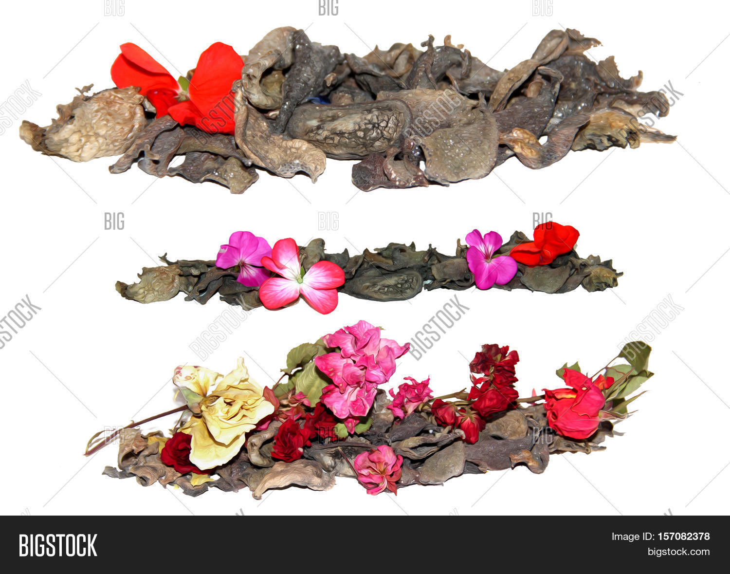 Dried Crumpled Leaves Image & Photo (Free Trial) | Bigstock