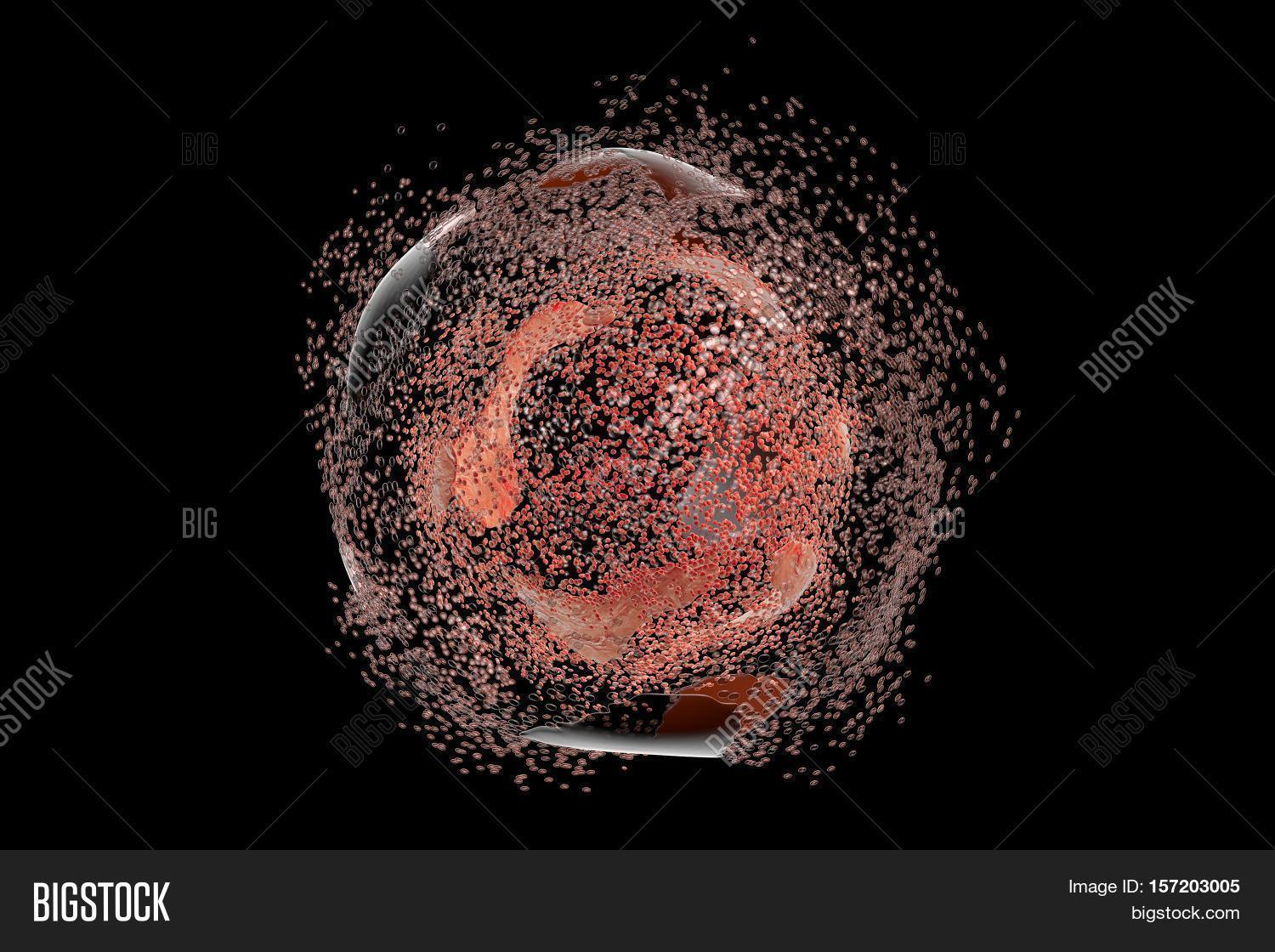 Cell Lysis. Image & Photo (Free Trial) | Bigstock