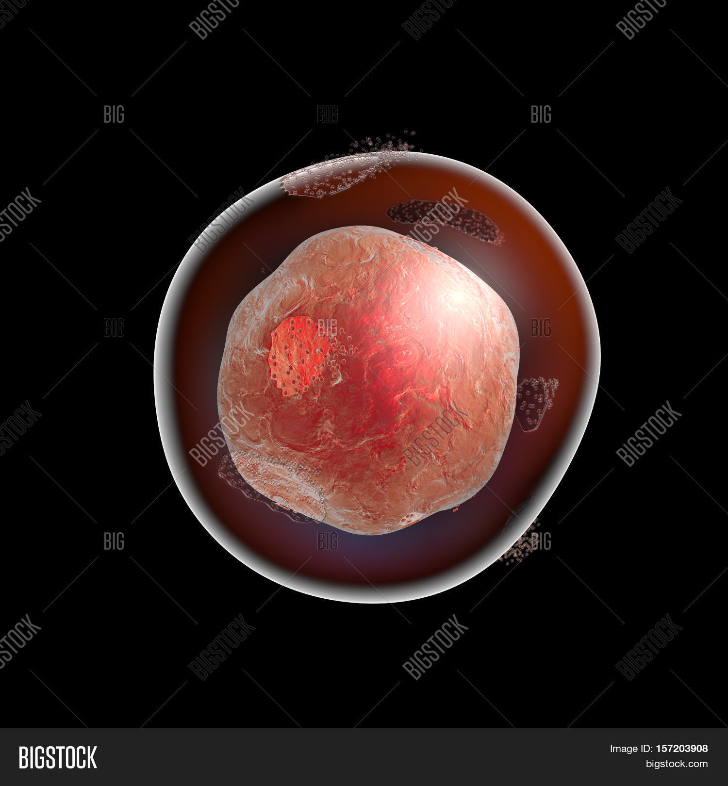 Cell Lysis. Image & Photo (Free Trial) | Bigstock