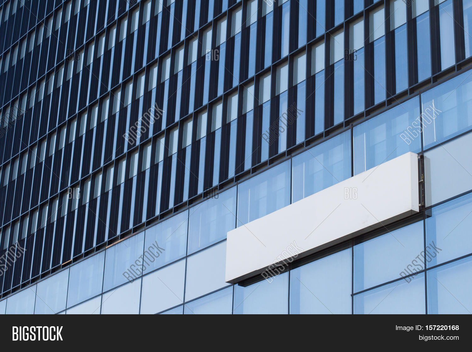 Horizontal Side View Image & Photo (Free Trial) | Bigstock