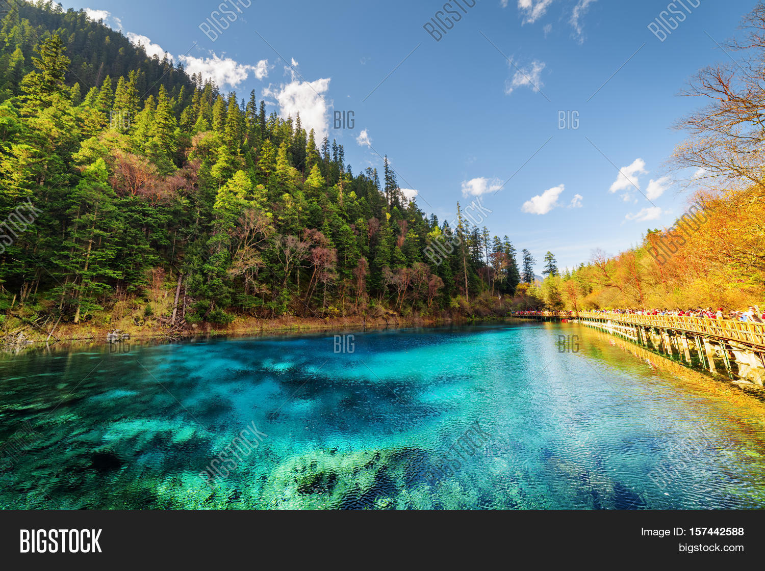 Fantastic View Five Image & Photo (Free Trial) | Bigstock