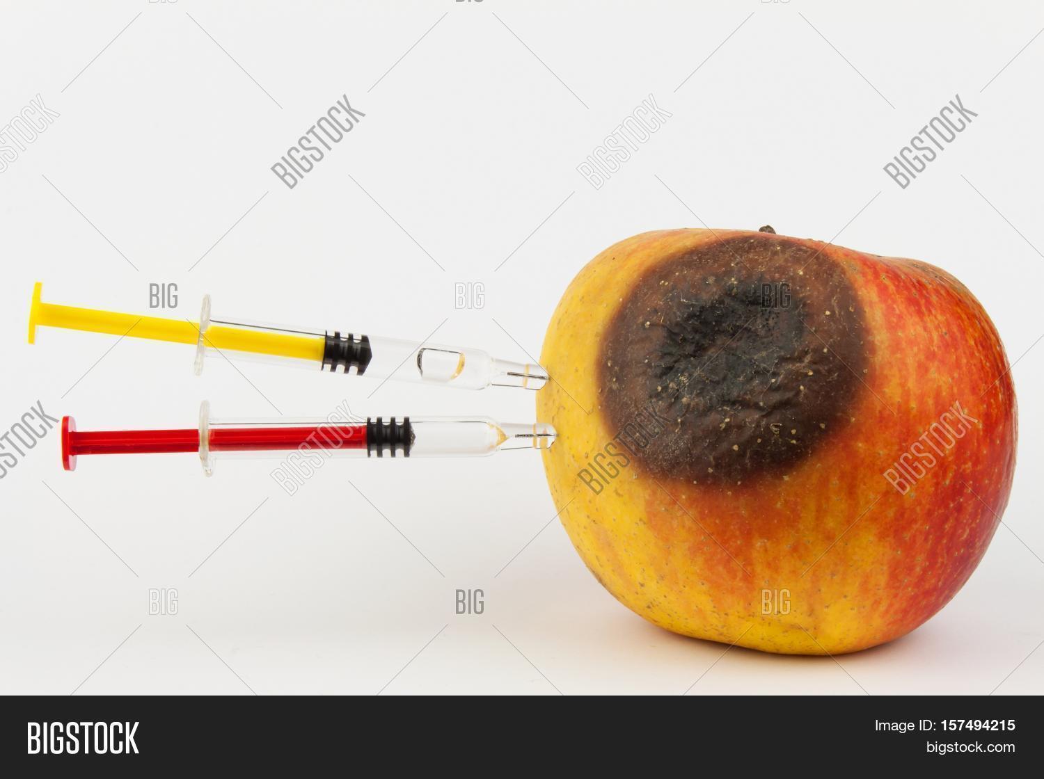 Moldy Apple. Injection Image & Photo (Free Trial) | Bigstock