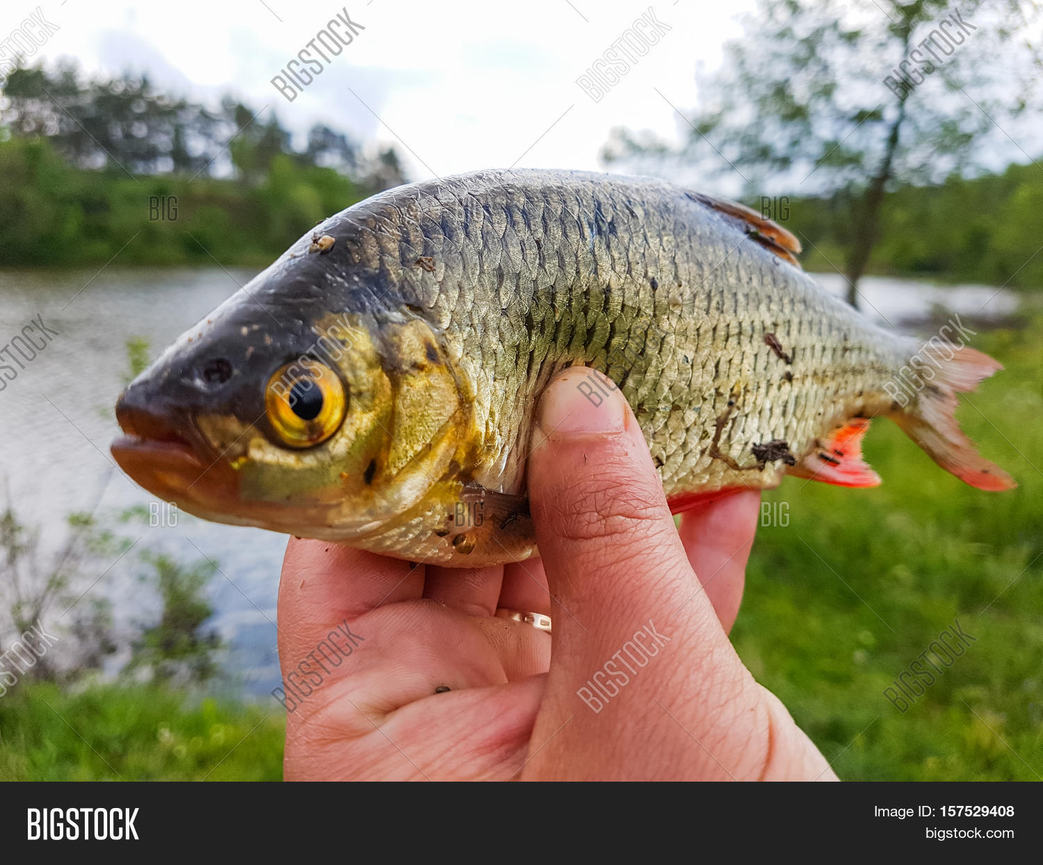 Good Catch Fisherman, Image & Photo (Free Trial) | Bigstock