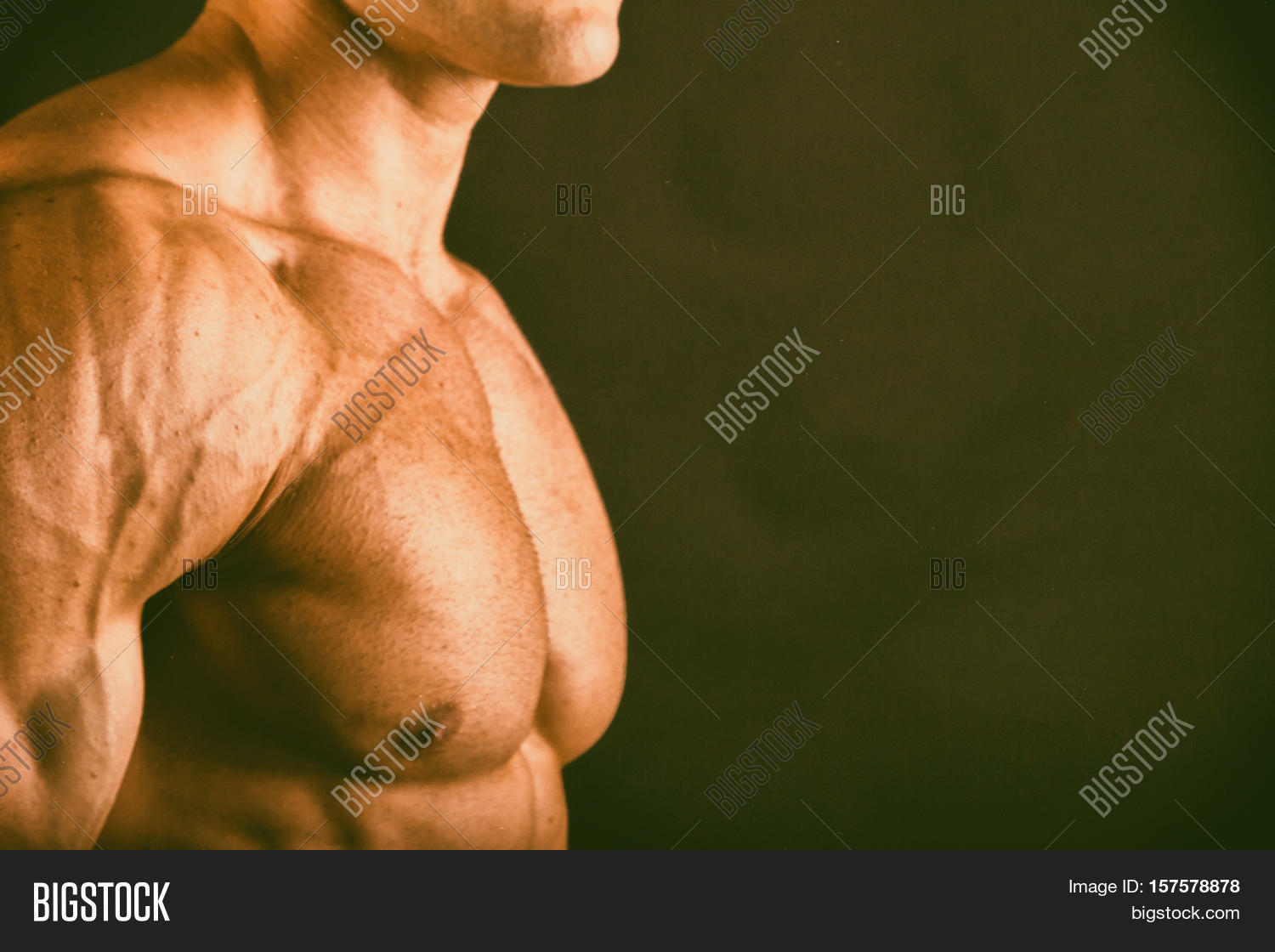 Beautiful Muscular Image & Photo (Free Trial) | Bigstock