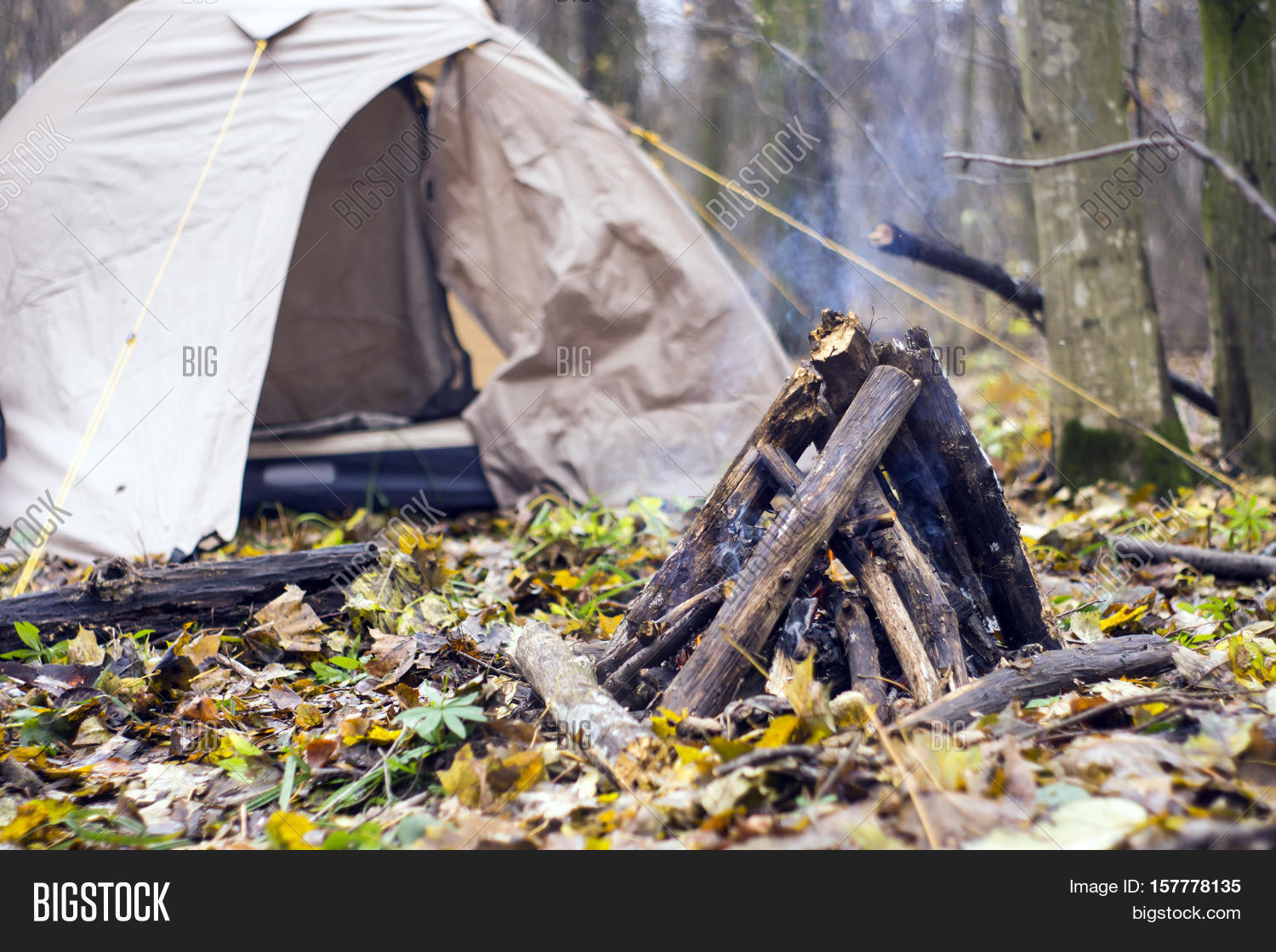 Bonfire Camping Tent Image & Photo (Free Trial) | Bigstock