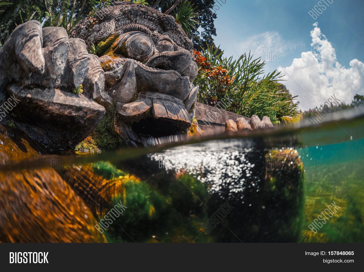 Underwater Split Shot Image & Photo (Free Trial) | Bigstock