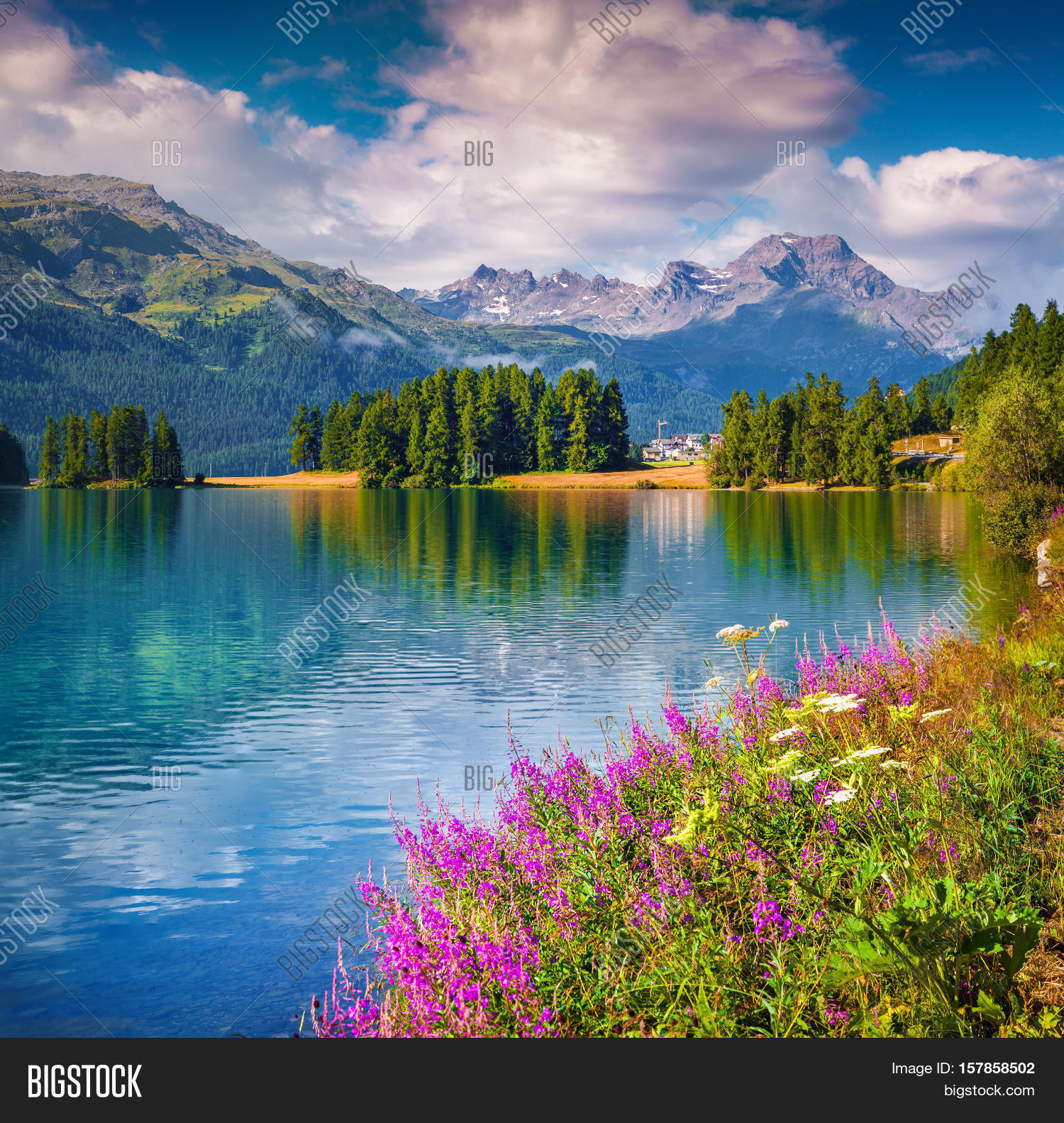 Sunne Summer Scene On Image & Photo (Free Trial) | Bigstock