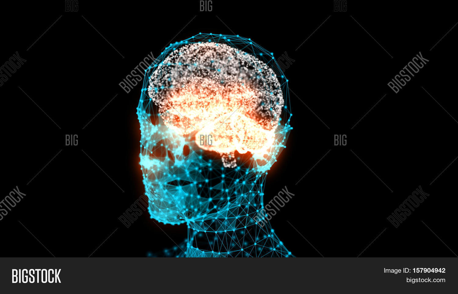 Transparent Human Head Image & Photo (Free Trial) | Bigstock