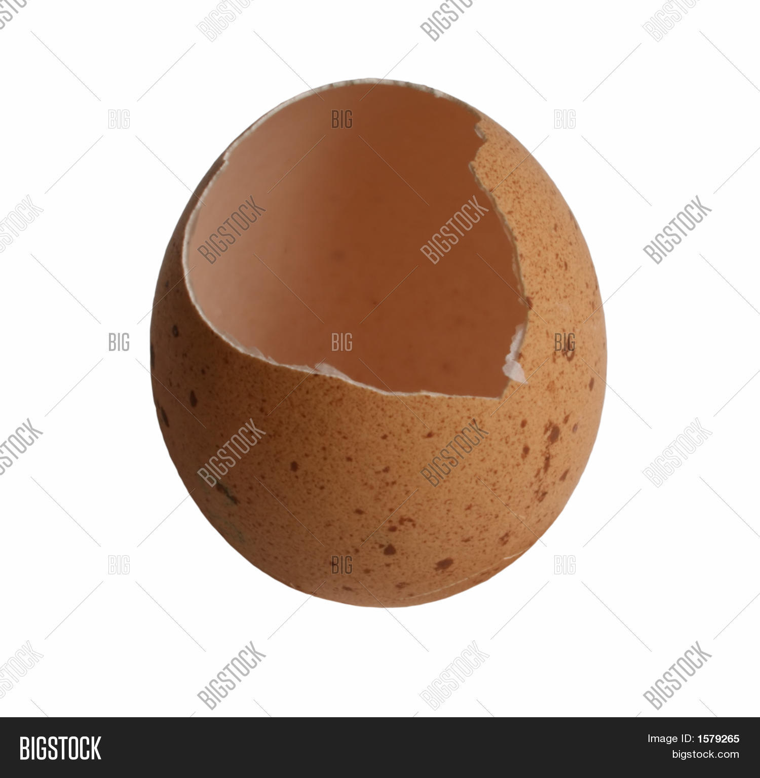 Egg Shell Image & Photo (Free Trial) | Bigstock