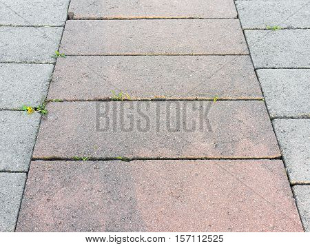 Decorative Colorful Image & Photo (Free Trial) | Bigstock