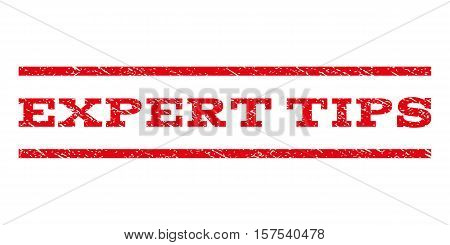 Expert Tips Watermark Vector & Photo (Free Trial) | Bigstock