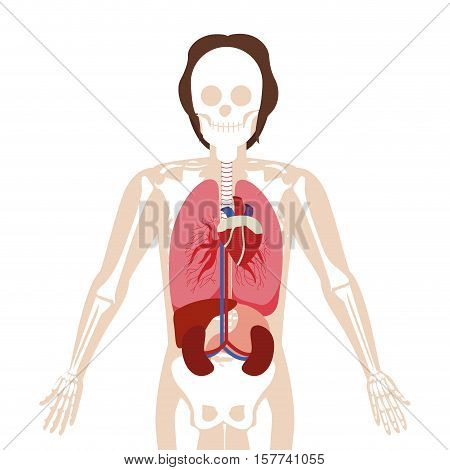 Half Skeleton Half Human Body