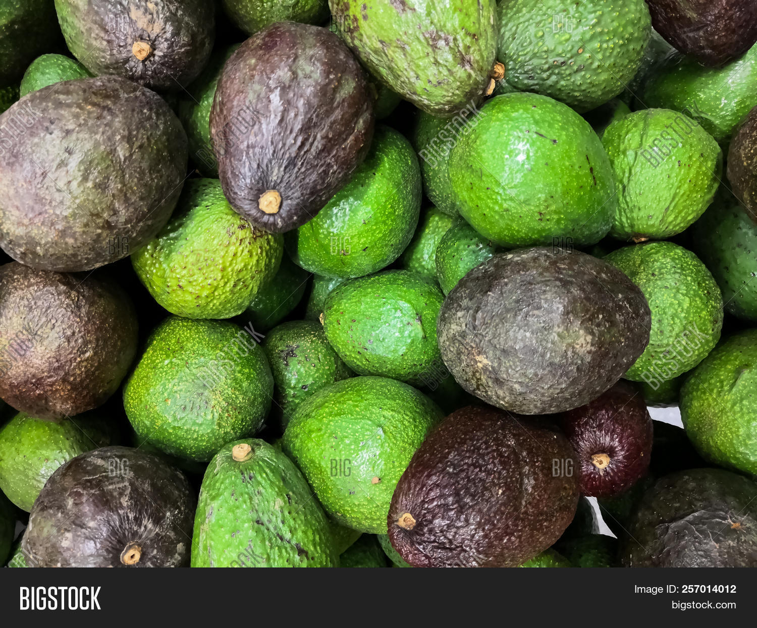 Heap Hass Avocado ( Image & Photo (Free Trial) | Bigstock