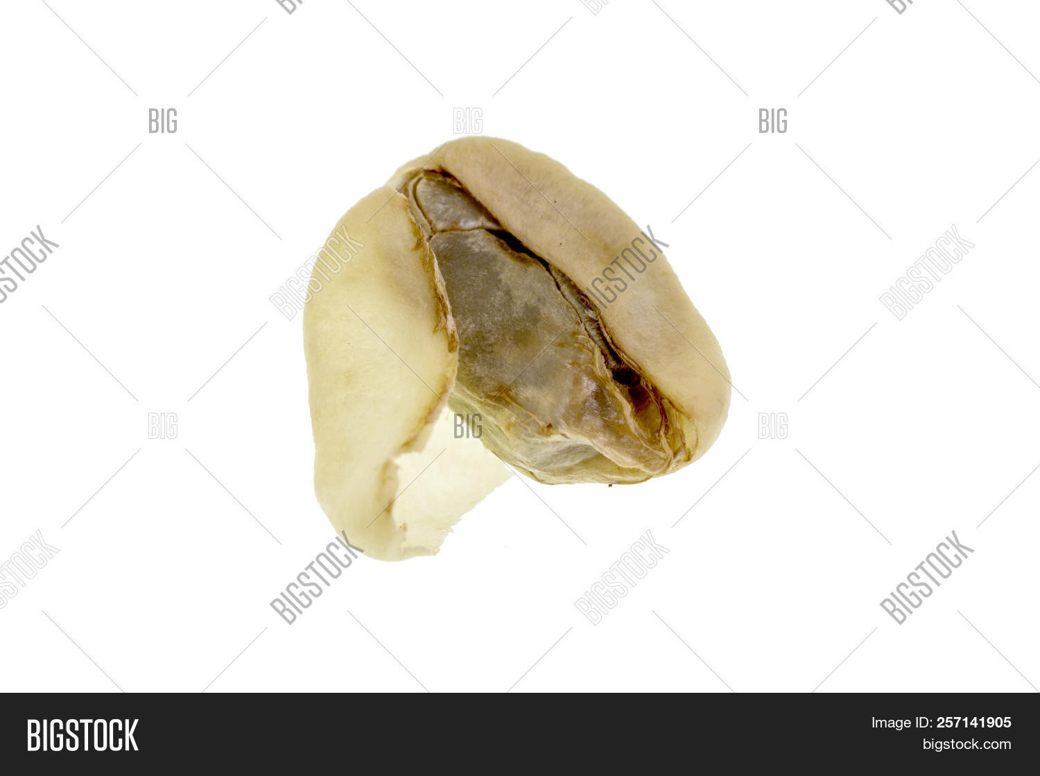 Removing Parchment Image & Photo (Free Trial) | Bigstock