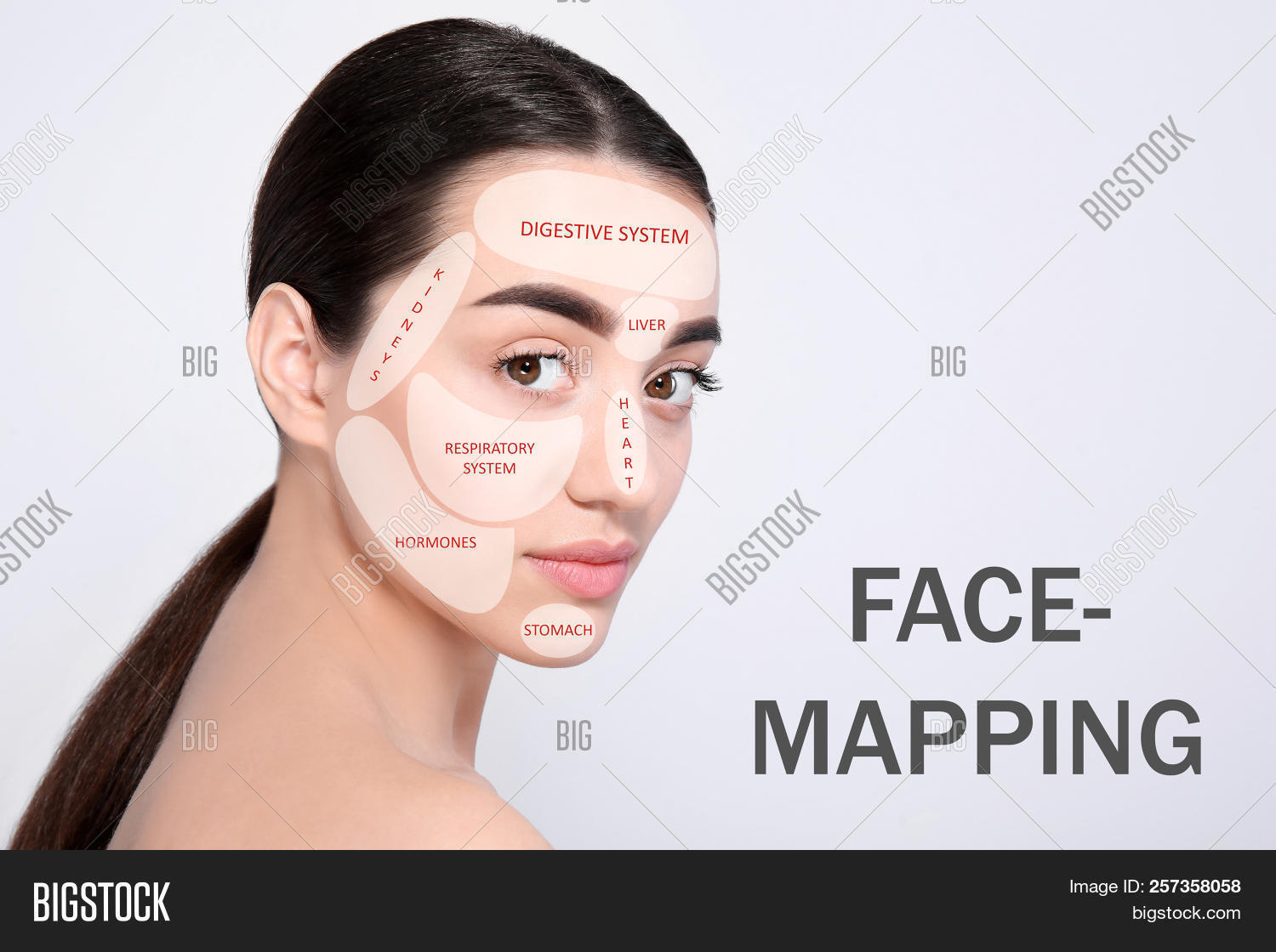 Acne Face Map