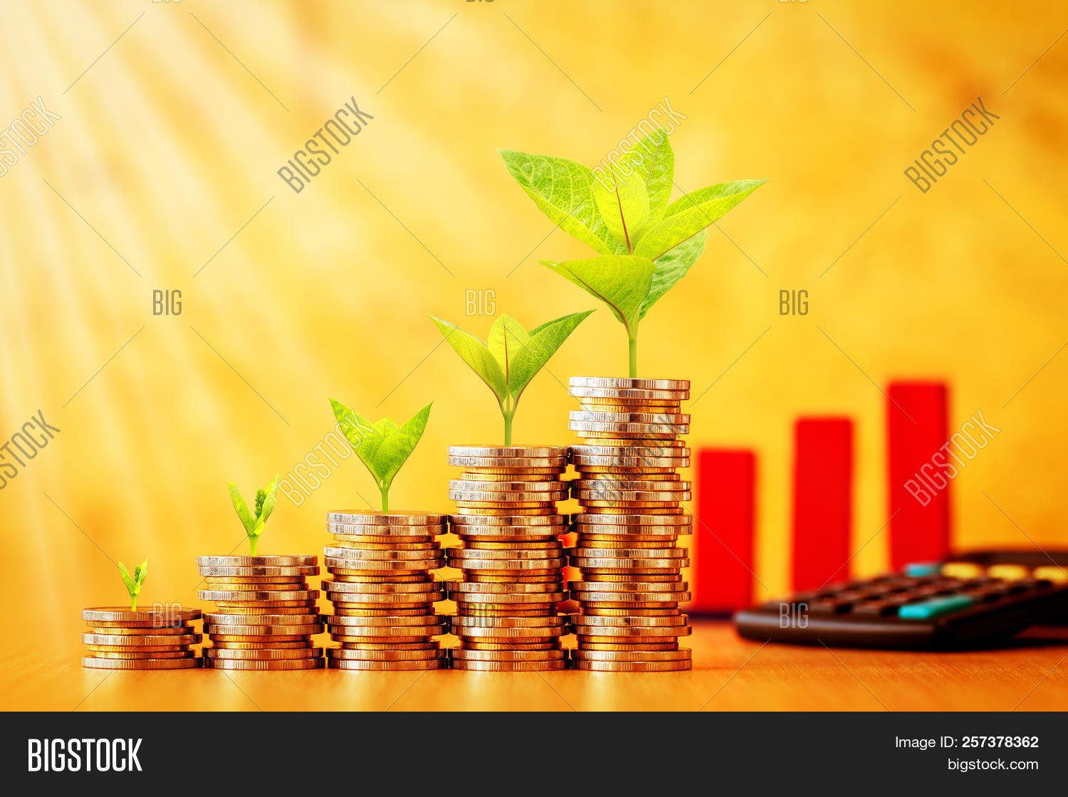Stacking Gold Coins Image & Photo (Free Trial) | Bigstock