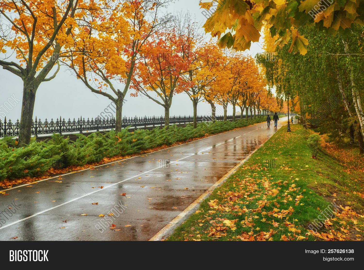 Autumn Park, Rainy Image & Photo (Free Trial) | Bigstock