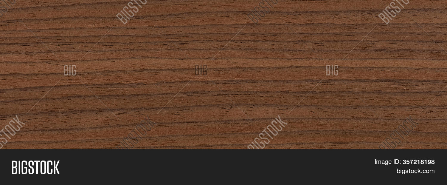 Natural Dark Brown Nut Image & Photo (Free Trial) | Bigstock