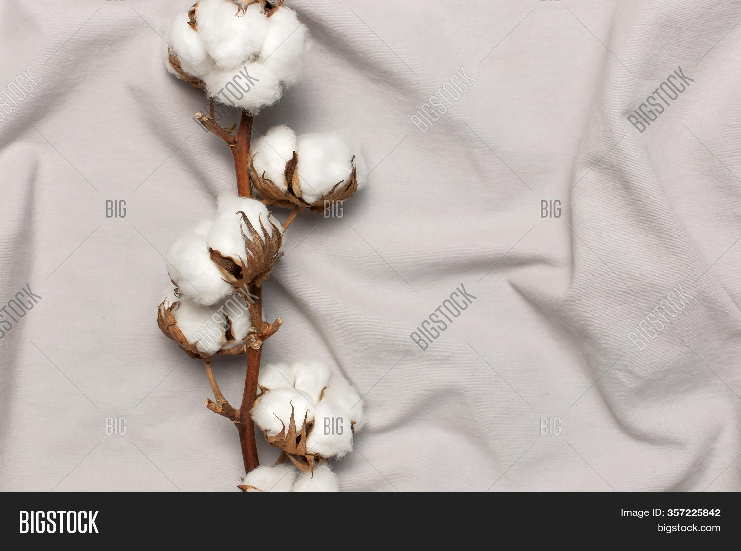 Flat Lay Beautiful Image & Photo (Free Trial) | Bigstock