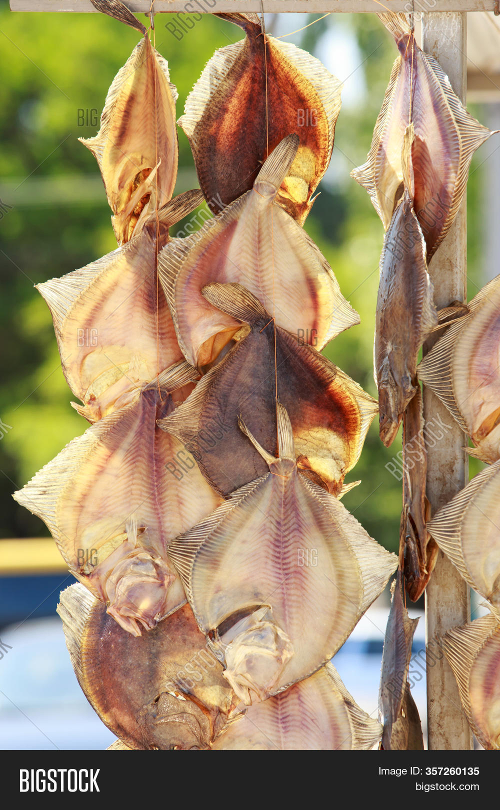 Stockfish On Rope Open Image & Photo (Free Trial) | Bigstock