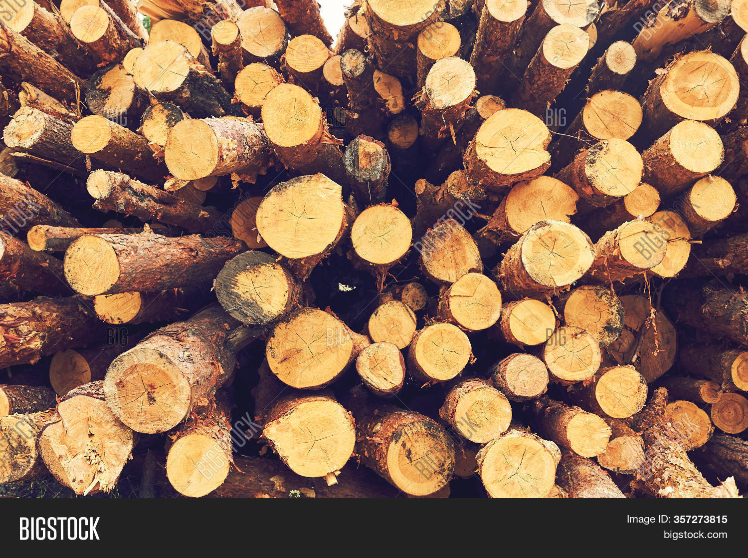 Natural Wooden Logs Image & Photo (Free Trial) | Bigstock