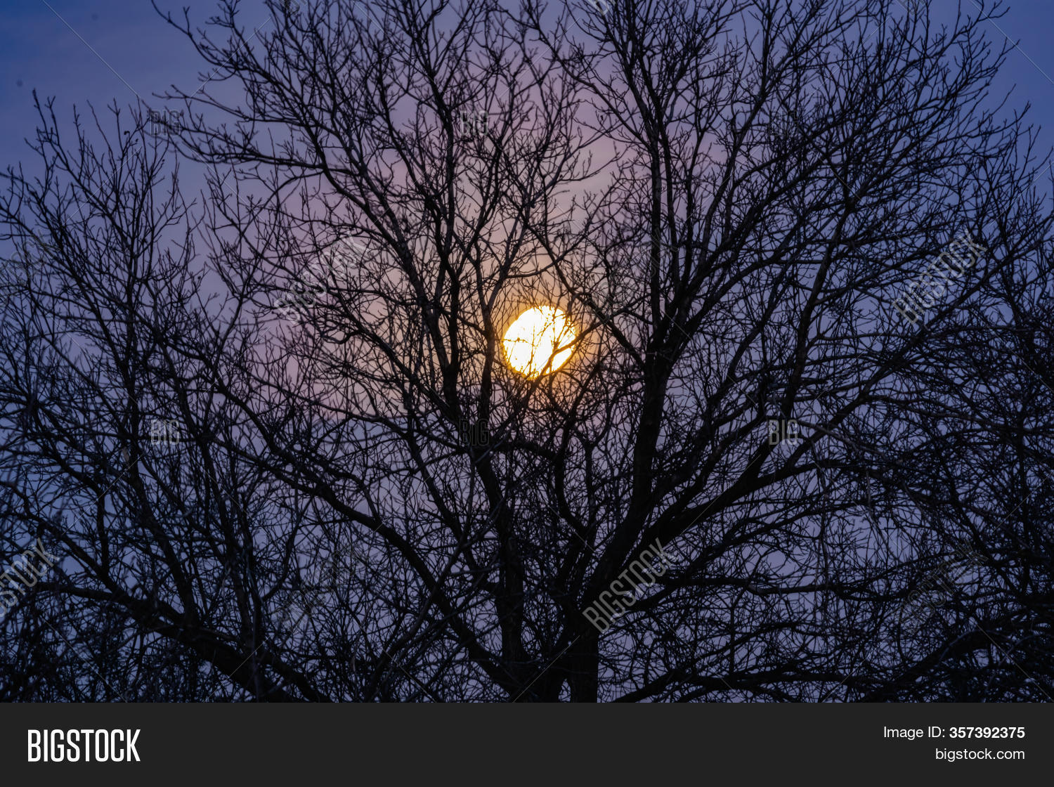 Night Big Moon Image & Photo (Free Trial) | Bigstock