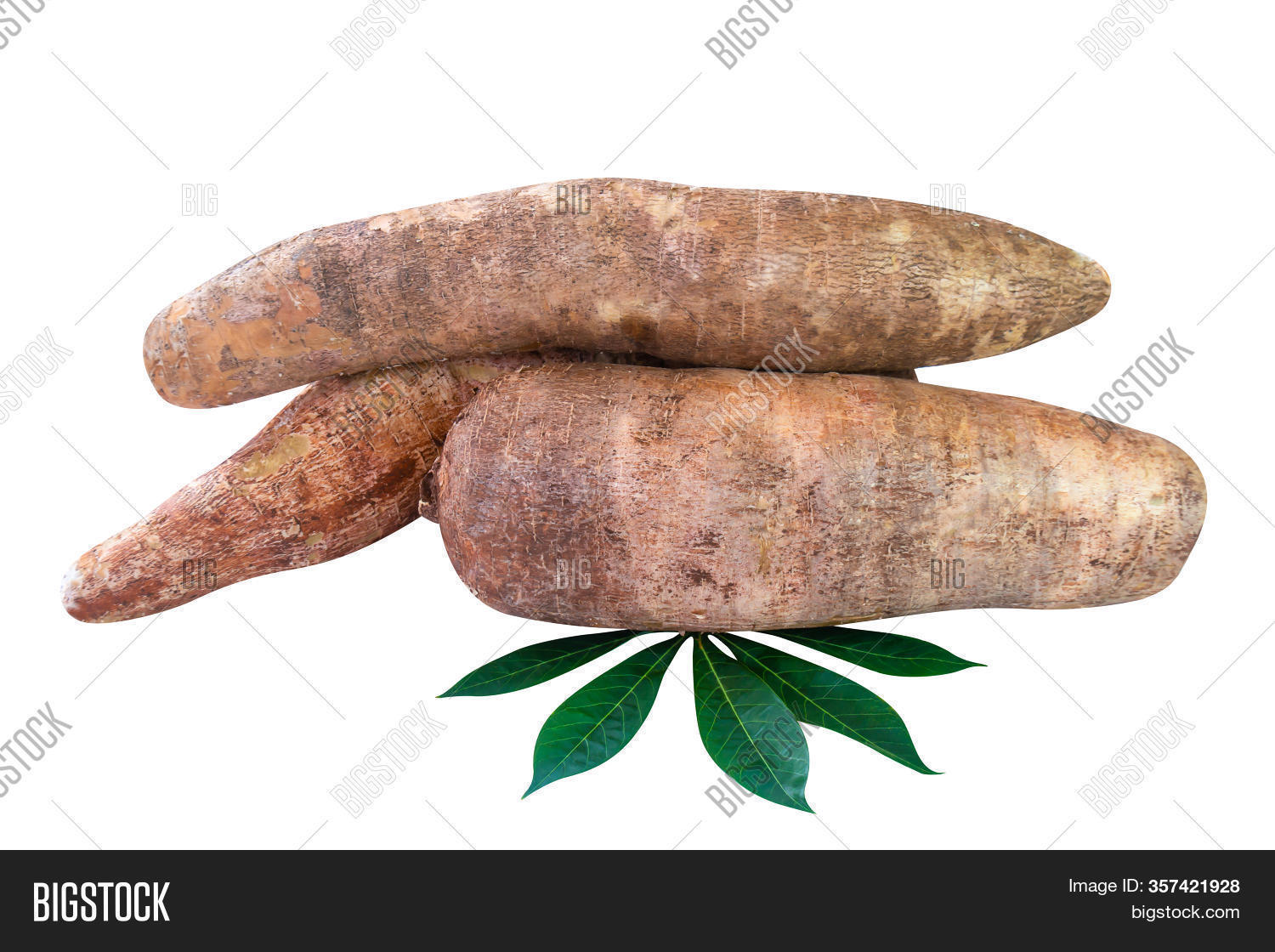 Cassava Tubers Fresh Image & Photo (Free Trial) | Bigstock
