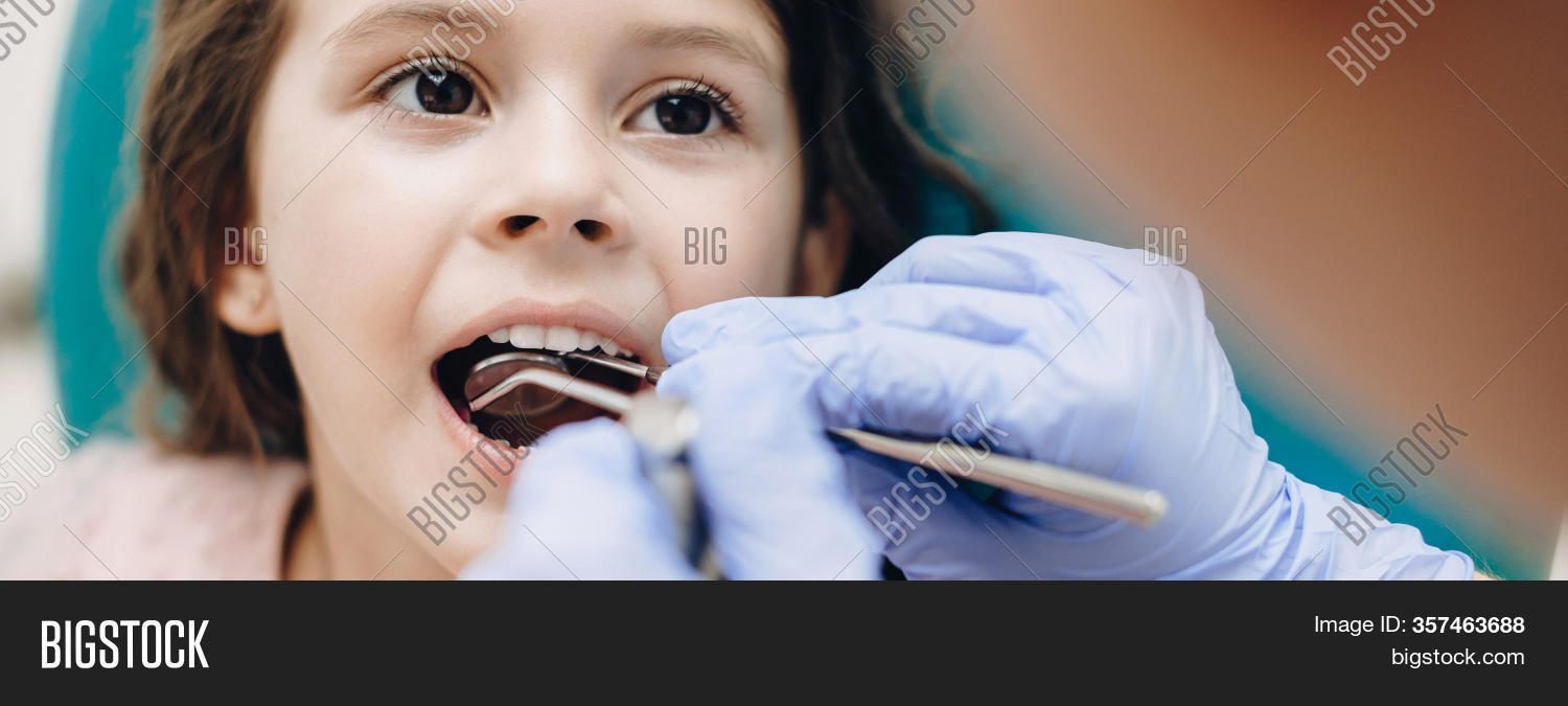 Teeth Examination Image & Photo (Free Trial) | Bigstock