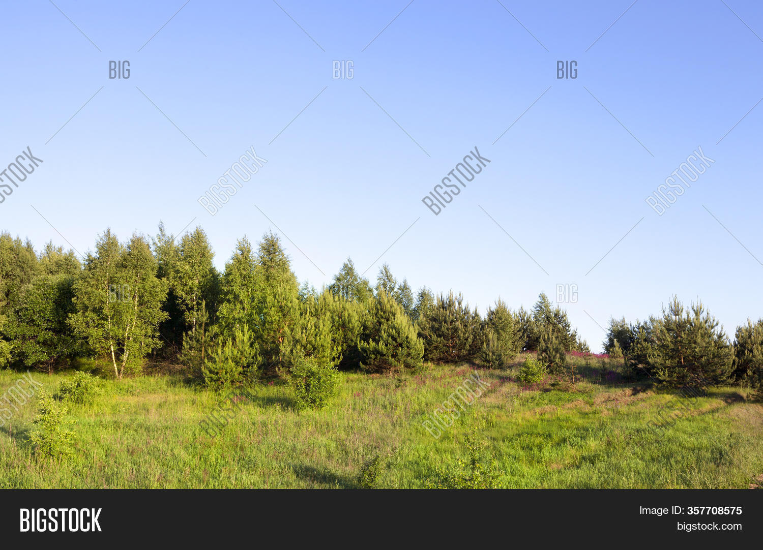 Real Nature Green Image & Photo (Free Trial) | Bigstock