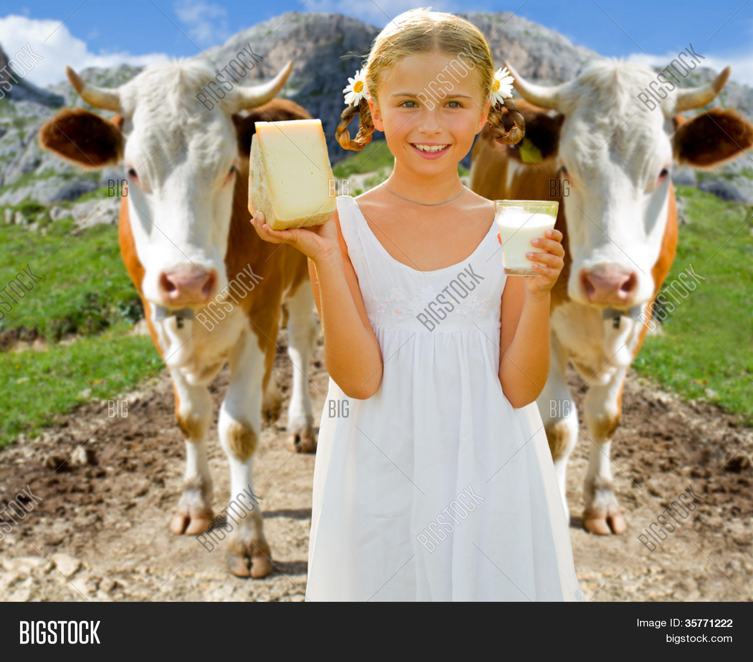 Milk Fresh Cow - Image & Photo (Free Trial) | Bigstock